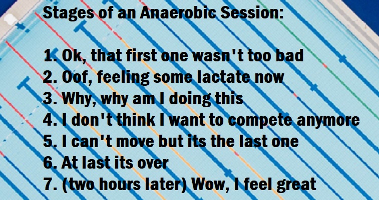 Stages of an Anaerobic Session